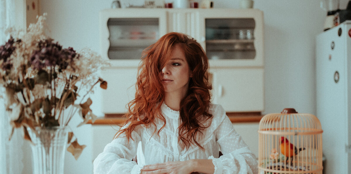 References / Clients – Model Widget